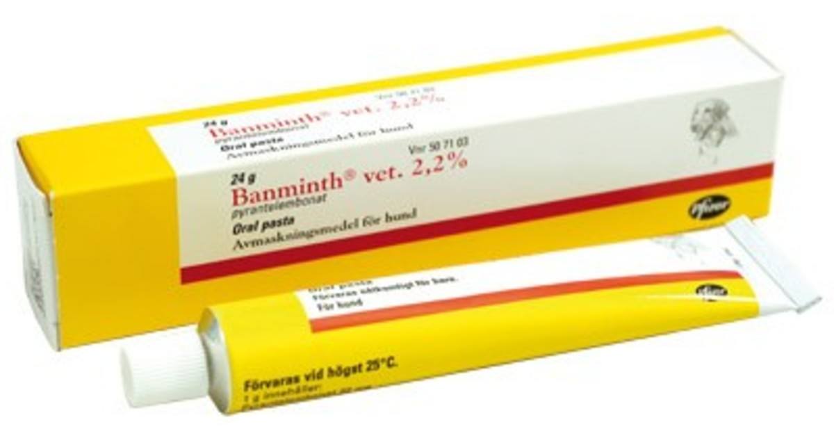 Köp Banminth vet. Oral pasta 2,2 % 24 g - på MEDS.se