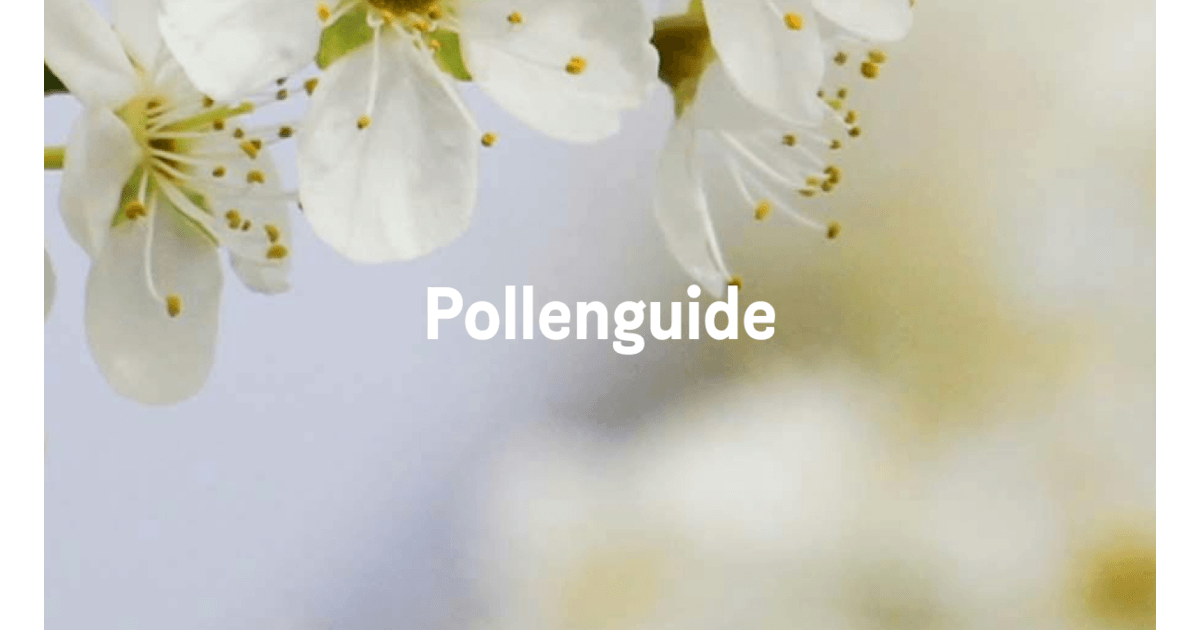 Har du pollenallergi? Läs våra tips och råd | MEDS.se